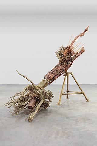 Exposition : Matthew Barney: Redoubt - Matthew Barney